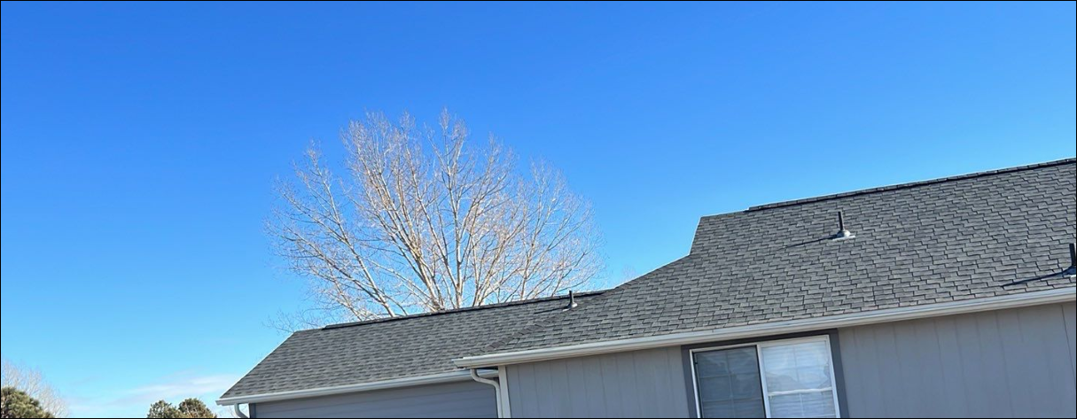 Ultimate Roof Survival Guide: Ensuring Durability and Efficiency ...