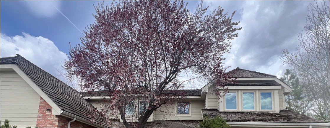 Avoiding Common Roof Design Mistakes: A Guide by Tried and True Roofing ...